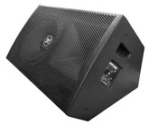 C5215M Professional  15" inch speakers 15 inch monitor speakers